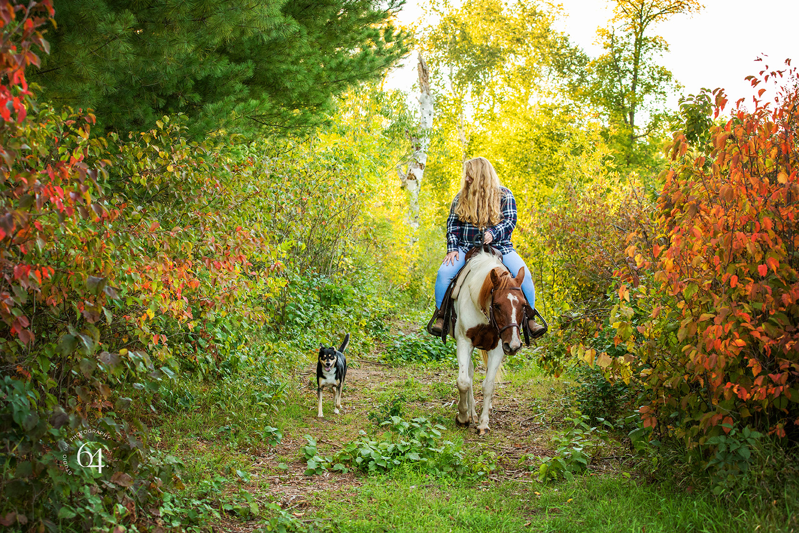 Mikayla | Jack Pine Stables | Akeley, MN | Studio 64 Photography